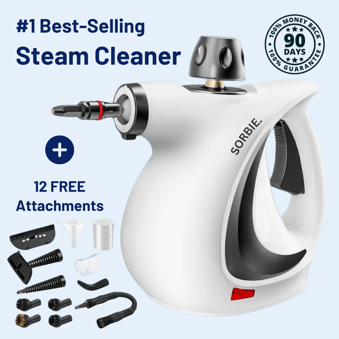 6 Ways This Chemical-Free Steamer Is Making Life